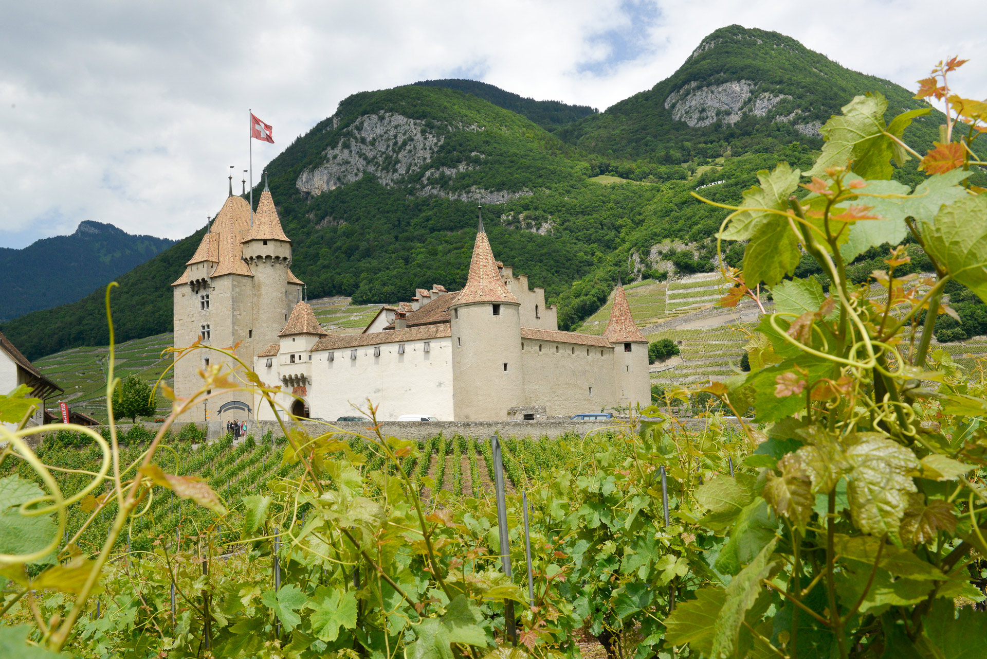 Châteaux pour mariage dans le Canton de Vaud